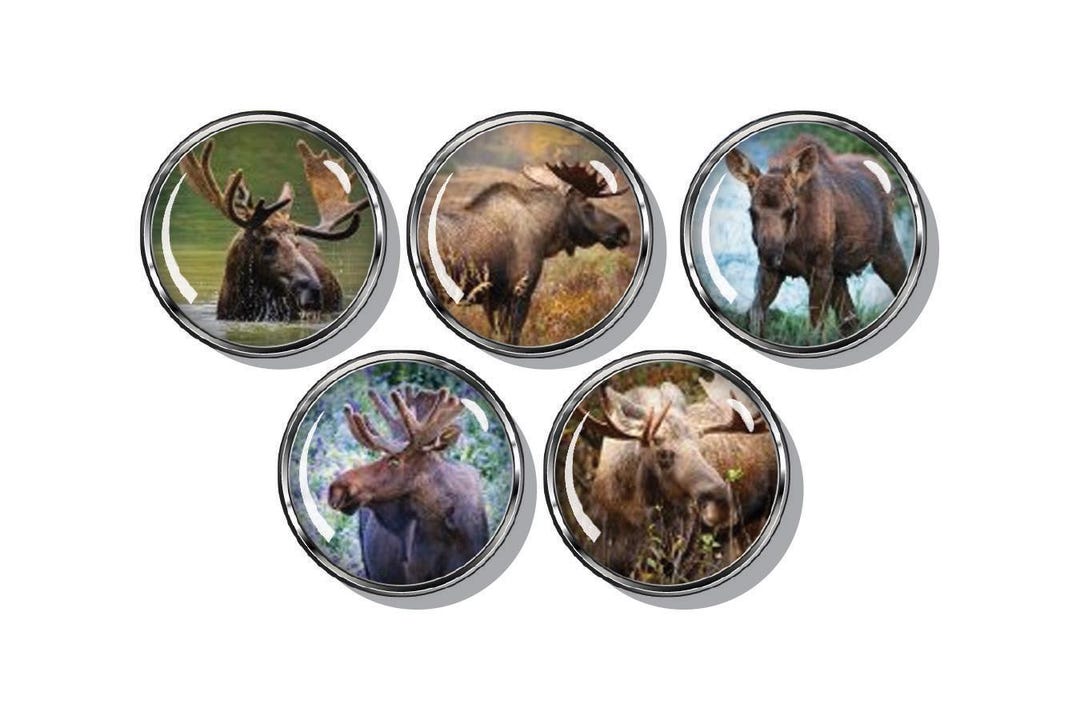Moose Magnet Set - Etsy