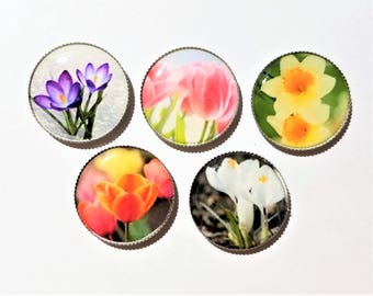 Spring Flowers - Etsy