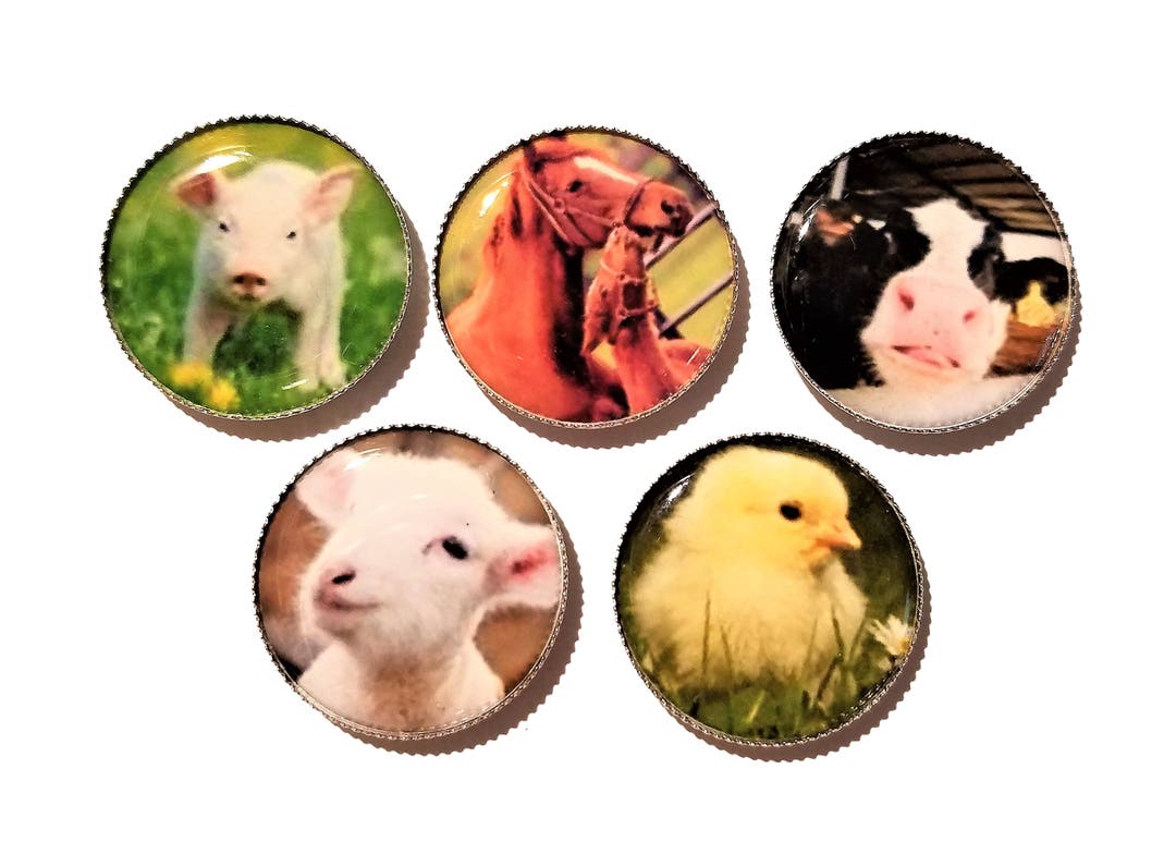 Farm Animal Magnets Set - Etsy