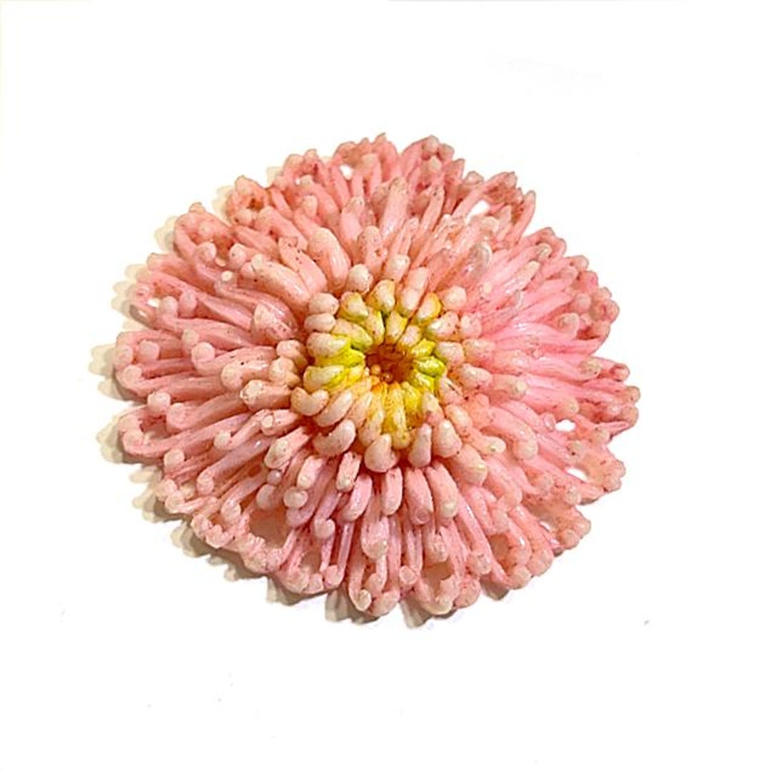 Large Pink Mum Bas Relief Cabochon Hand Painted Resin 50mm - Etsy