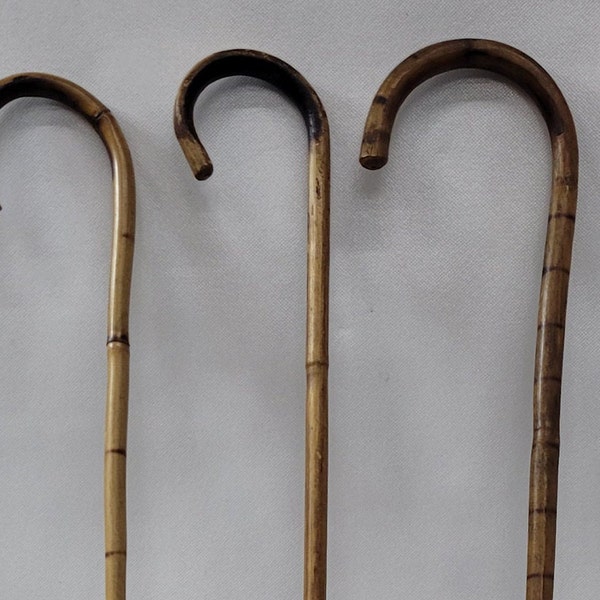 Bamboo Walking Stick - Etsy