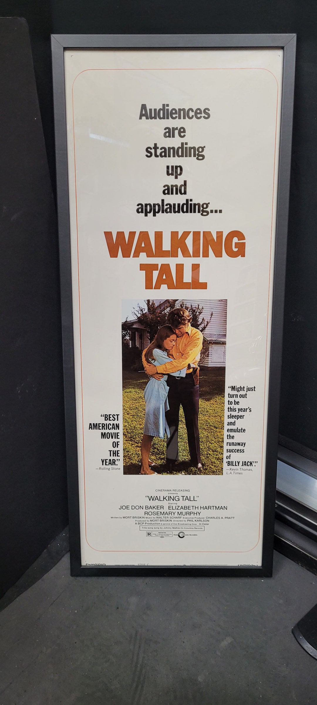 Vintage Advertising Movie Posters Framed Walking Tall Lithographs Wall ...