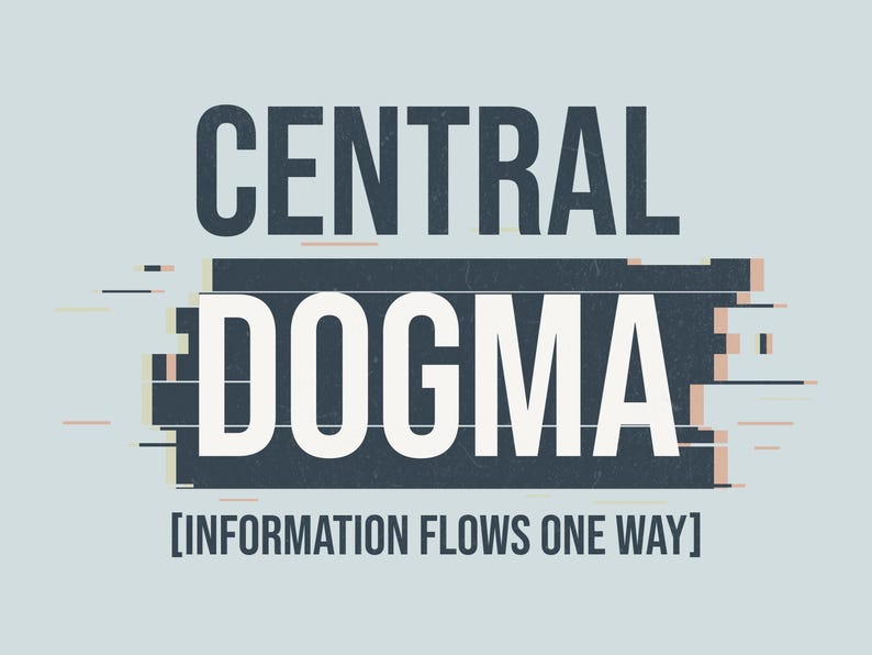 Central Dogma – Biology Concept Poster | Minimalist Classroom Science ...