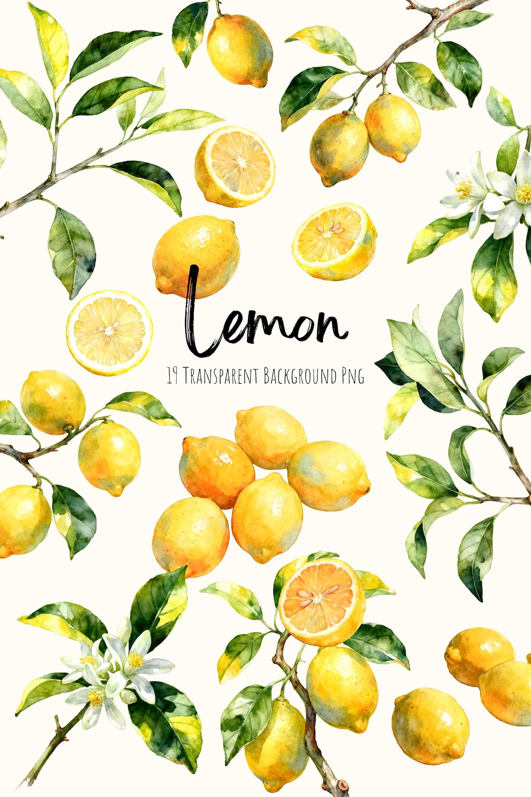 Vintage Watercolor Lemon Clipart Bundle, Botanical Citrus Fruit PNG ...