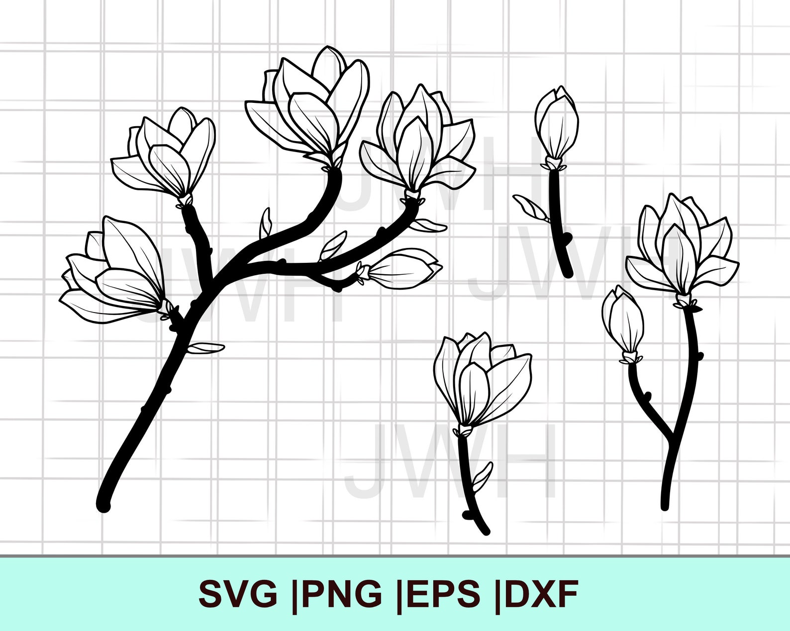 Magnolia SVG PNG EPS Dxf Instant Download Digital - Etsy