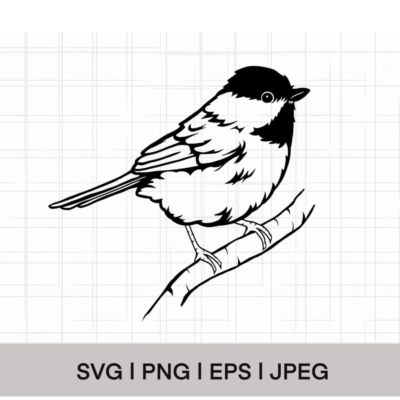 Chickadee Drawing - Etsy