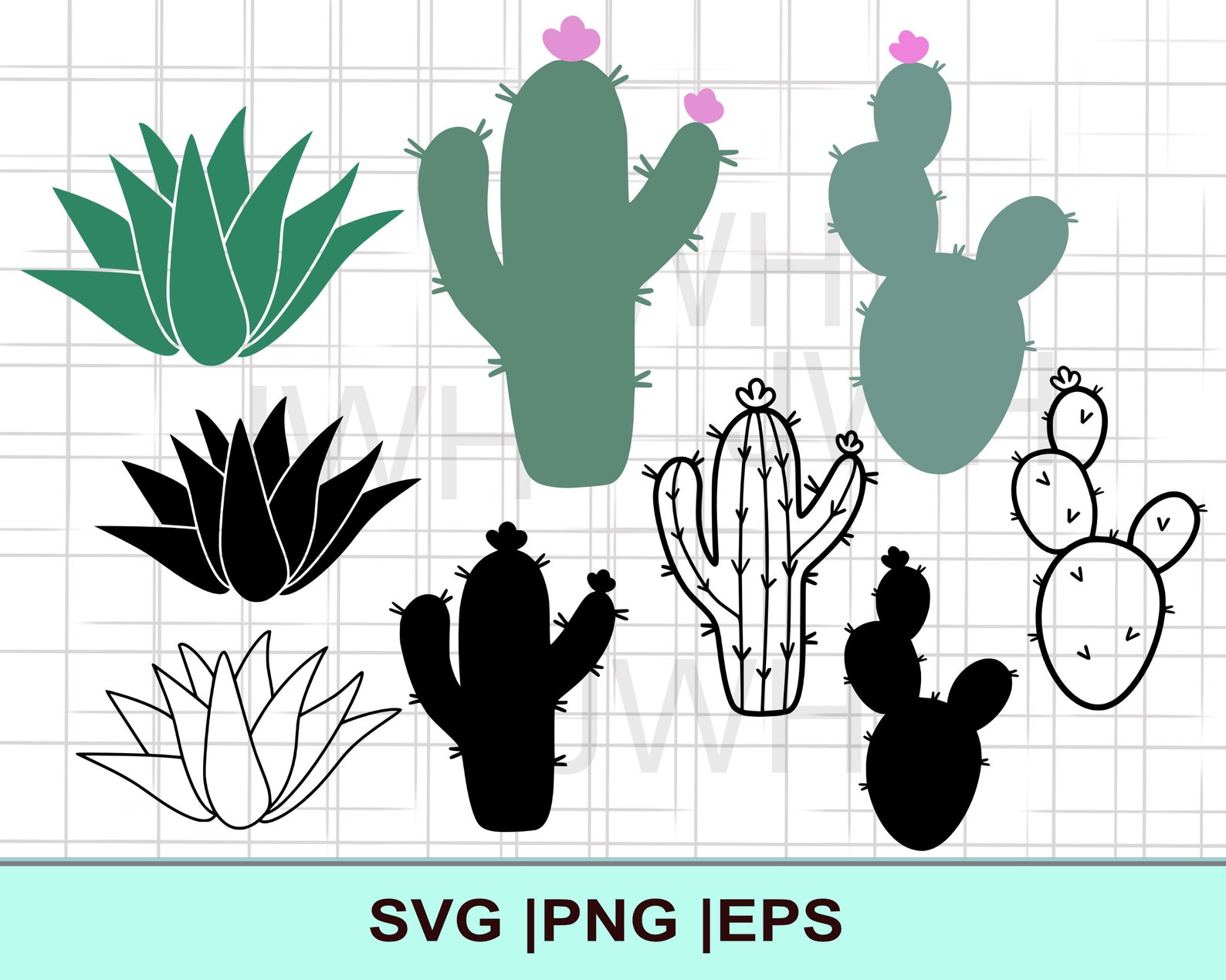 Cactus SVG PNG EPS Instant Download Cacti Bundle Digital - Etsy
