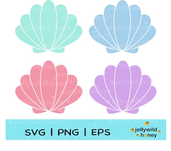 Seashells SVG PNG EPS Instant Download Seashell Bundle | Etsy