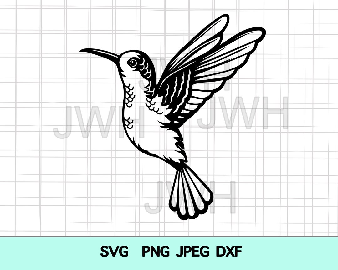 Hummingbird SVG, PNG, EPS, Instant Download, Digital Download, Bird ...