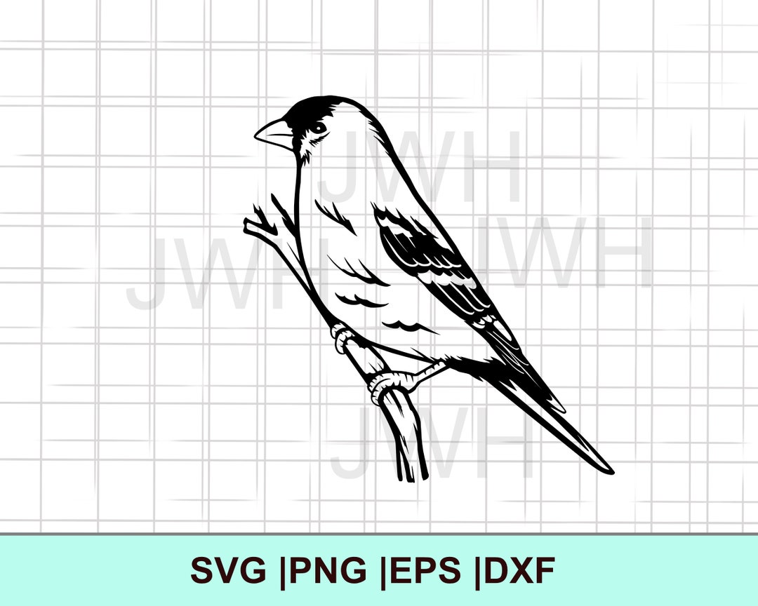 Goldfinch Bird SVG, PNG, EPS, Dxf, Instant Download, Digital Download ...
