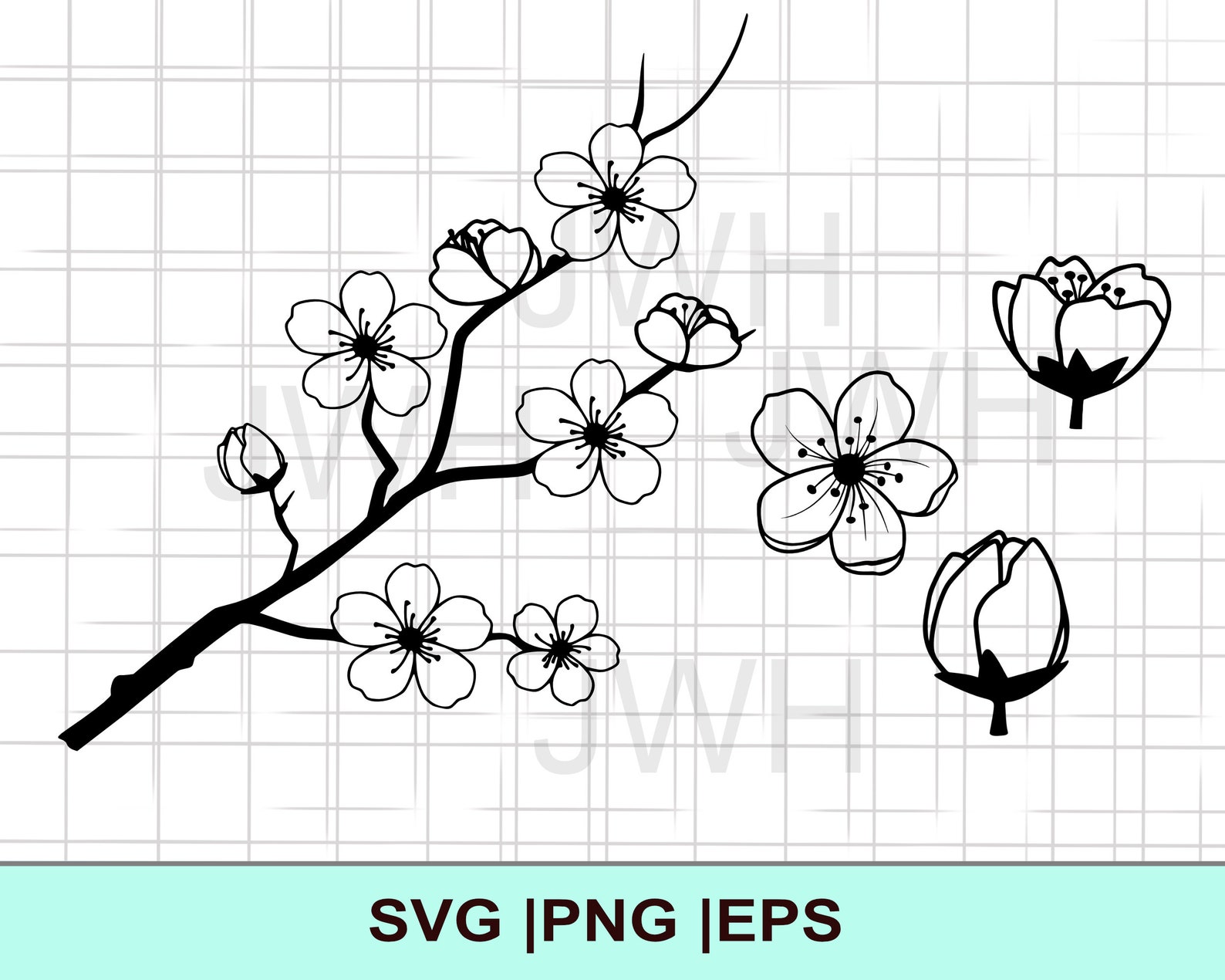 Cherry Blossom SVG, PNG, EPS, Instant Download, Digital Download ...