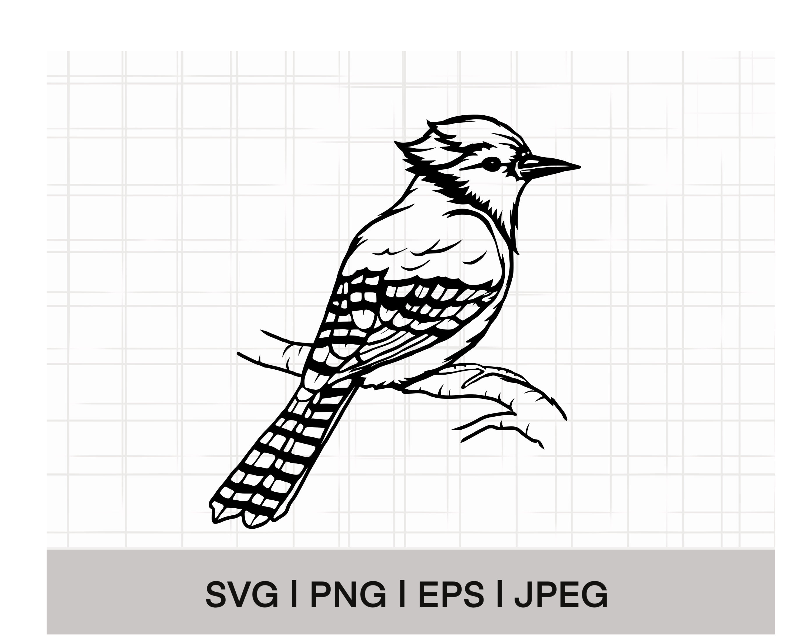 Blue Jay Bird SVG, PNG, EPS, Instant Download, Digital Download, Bird ...