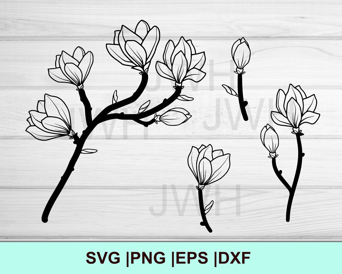 Magnolia SVG PNG EPS Dxf Instant Download Digital - Etsy