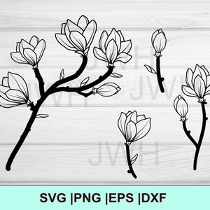 Magnolia SVG, PNG, EPS, Dxf Instant Download, Digital Download ...