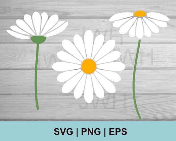 Daisy SVG PNG EPS Daisies Svg Bundle Instant Download - Etsy