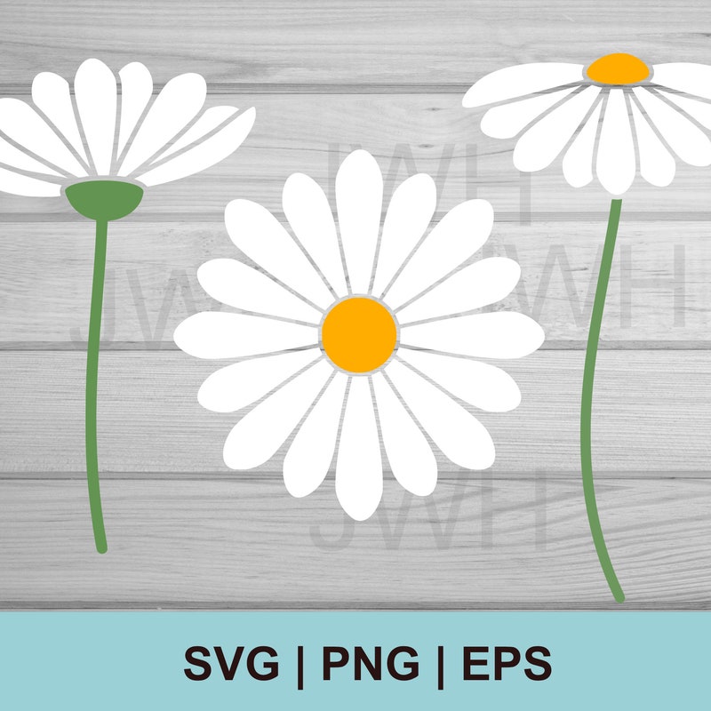 Daisy Svg - Etsy