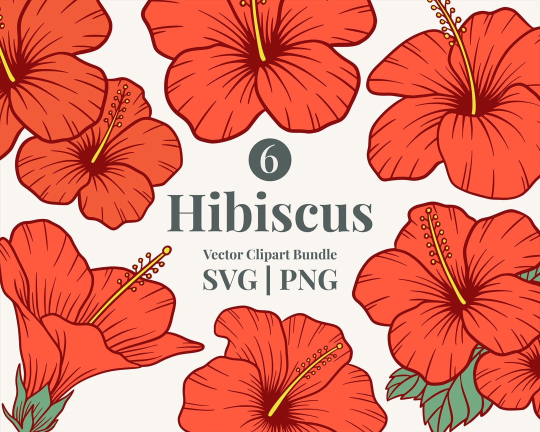 Hibiscus Flower SVG PNG Clipart Bundle | Tropical Floral Vector Set - Etsy