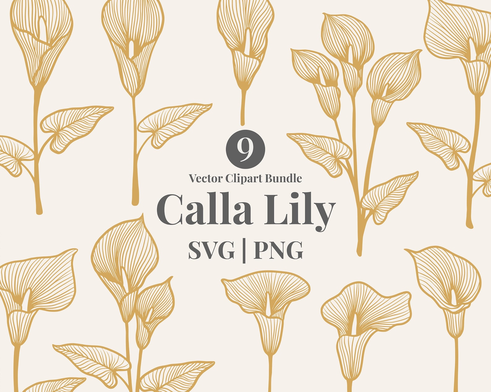 Calla Lily Line Art SVG PNG | Hand Drawn Floral Bundle | Minimalist ...