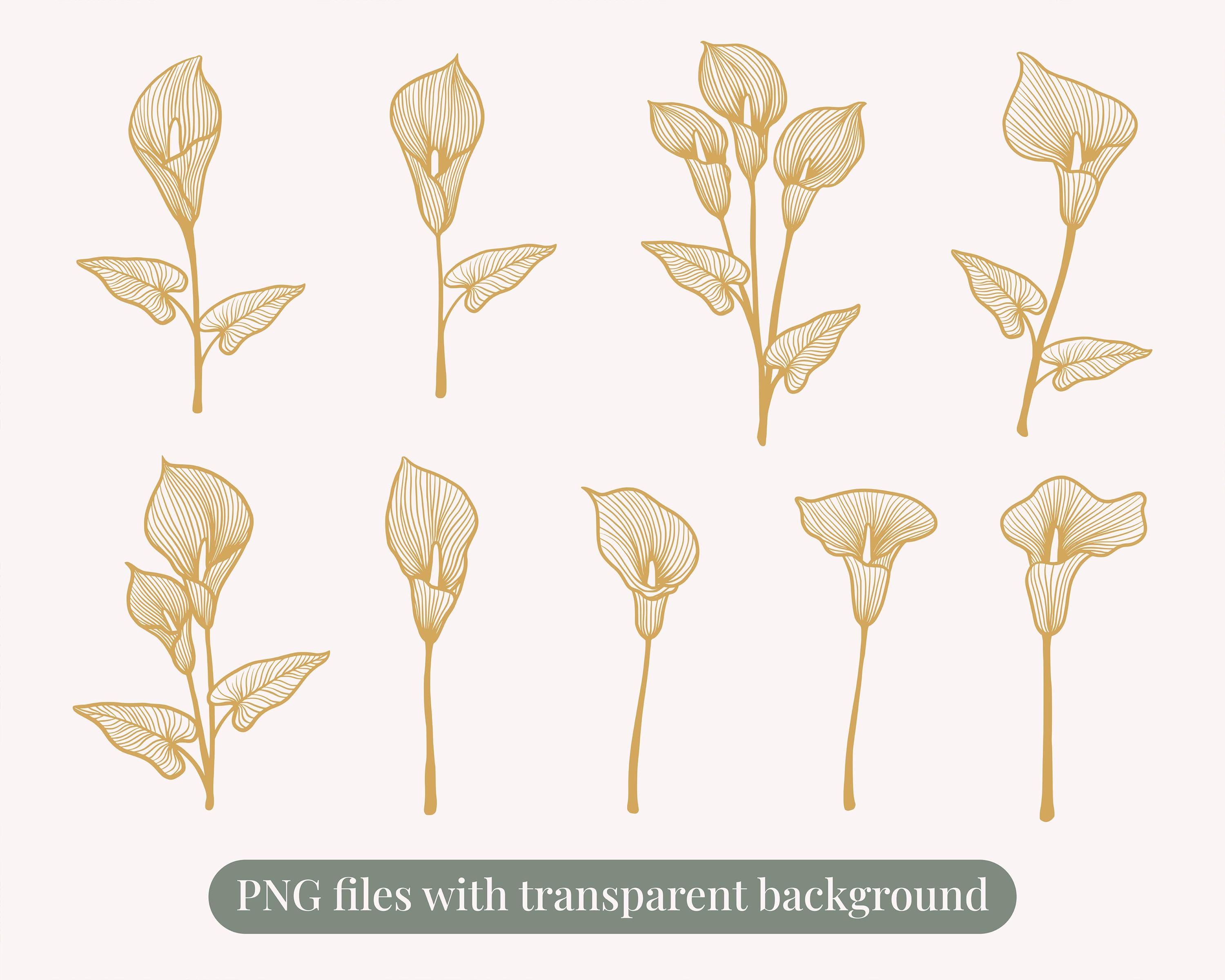 Calla Lily Line Art SVG PNG | Hand Drawn Floral Bundle | Minimalist ...