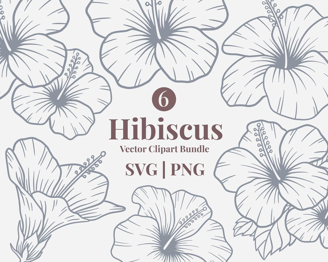 Hibiscus Flower SVG PNG Clipart Bundle | Tropical Floral Line Art Set ...