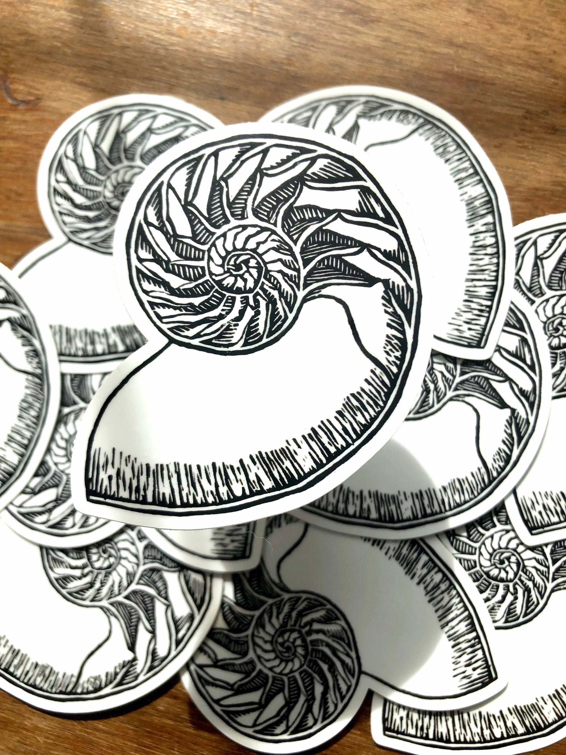 Nautical Shell Sticker Sealife Collection Seashell design | Etsy