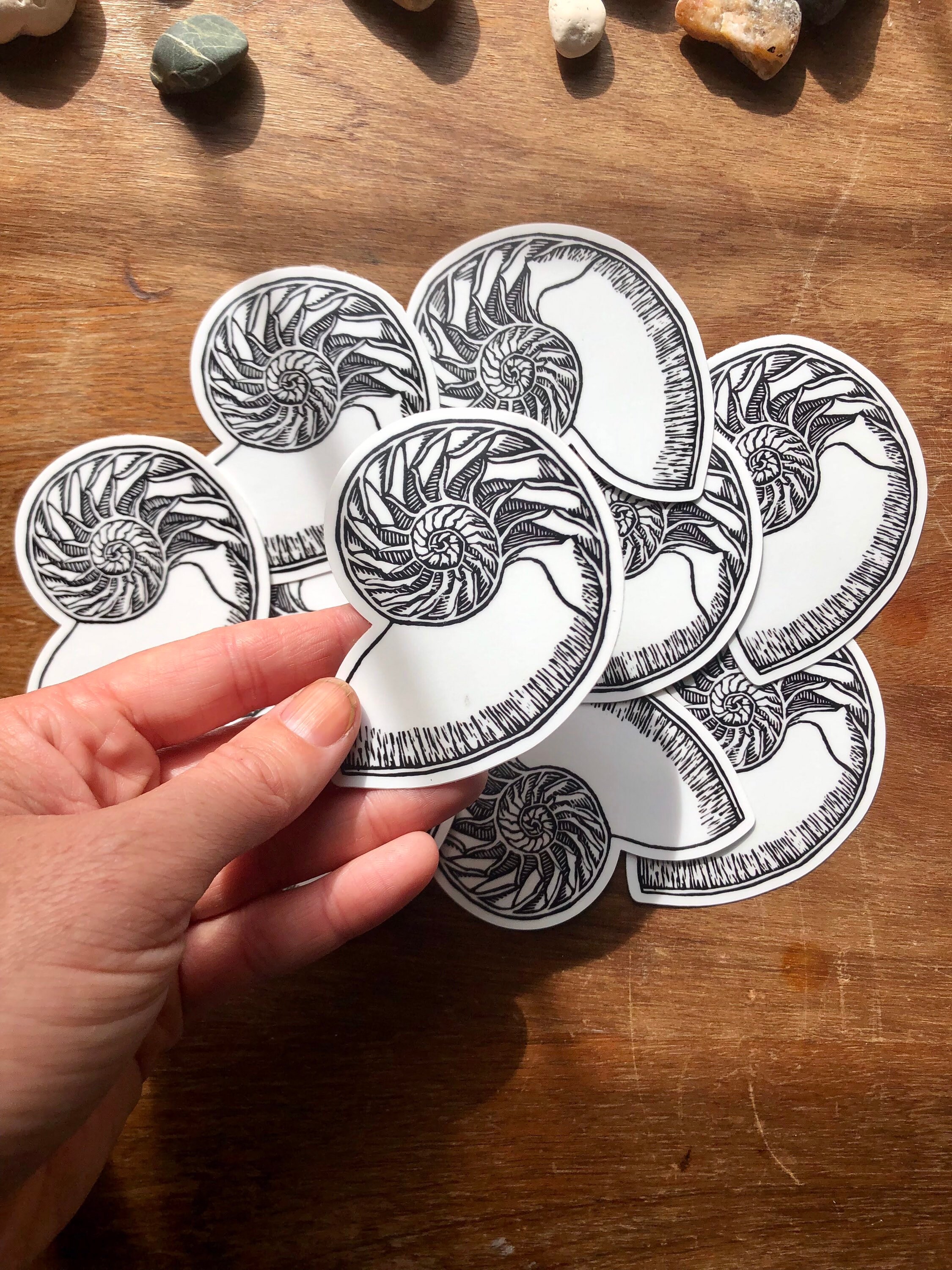 Nautical Shell Sticker Sealife Collection Seashell design | Etsy