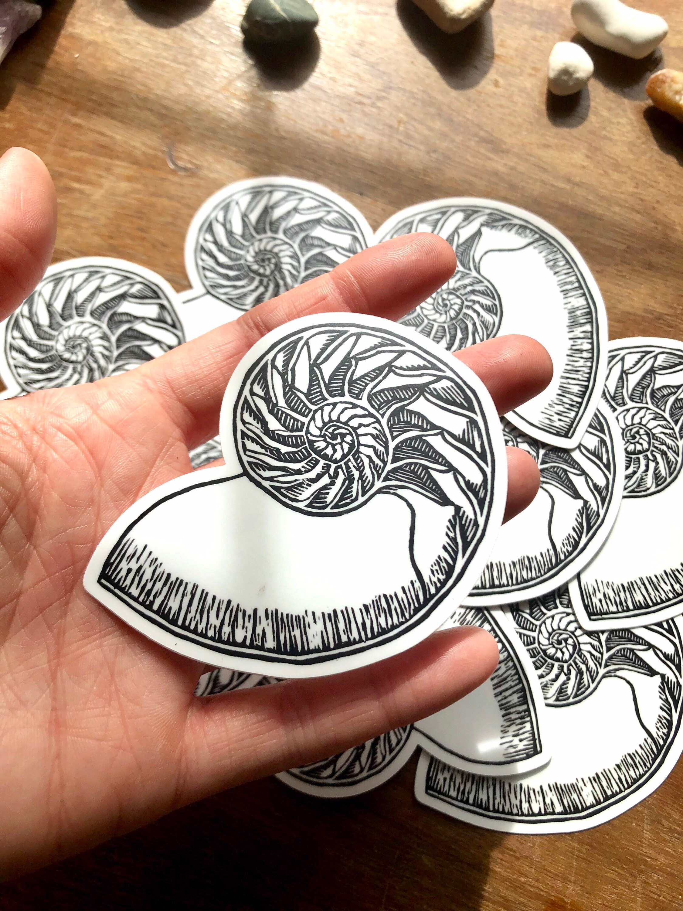 Nautical Shell Sticker Sealife Collection Seashell design | Etsy