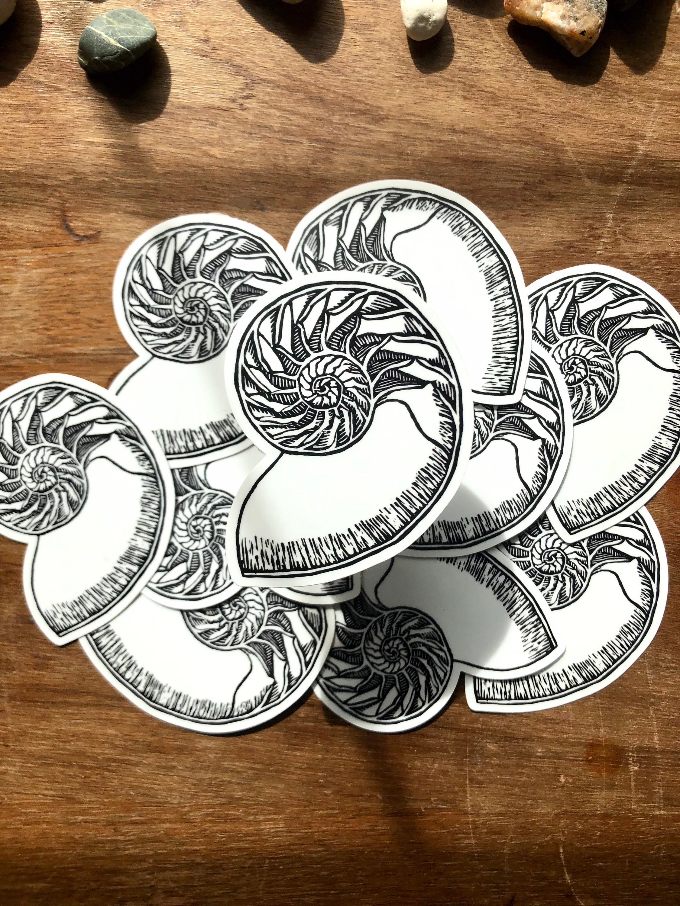 Nautical Shell Sticker Sealife Collection Seashell design | Etsy