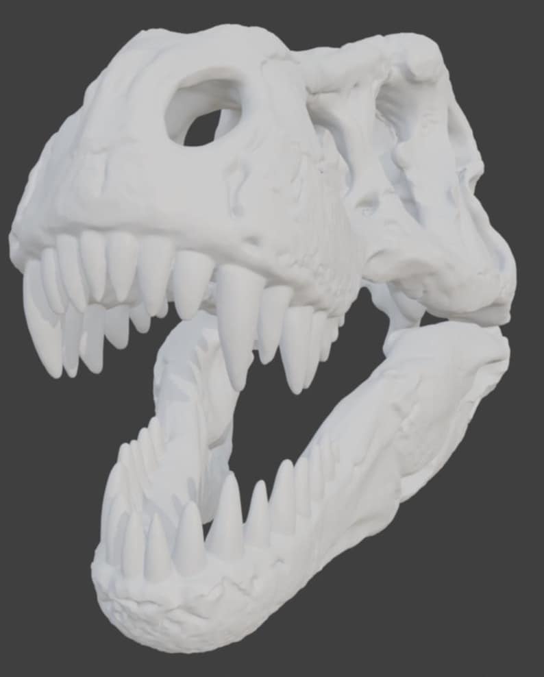 T-rex Skull Tyrannosaurus Dinosaur Ready Stl File for 3d Printing ...