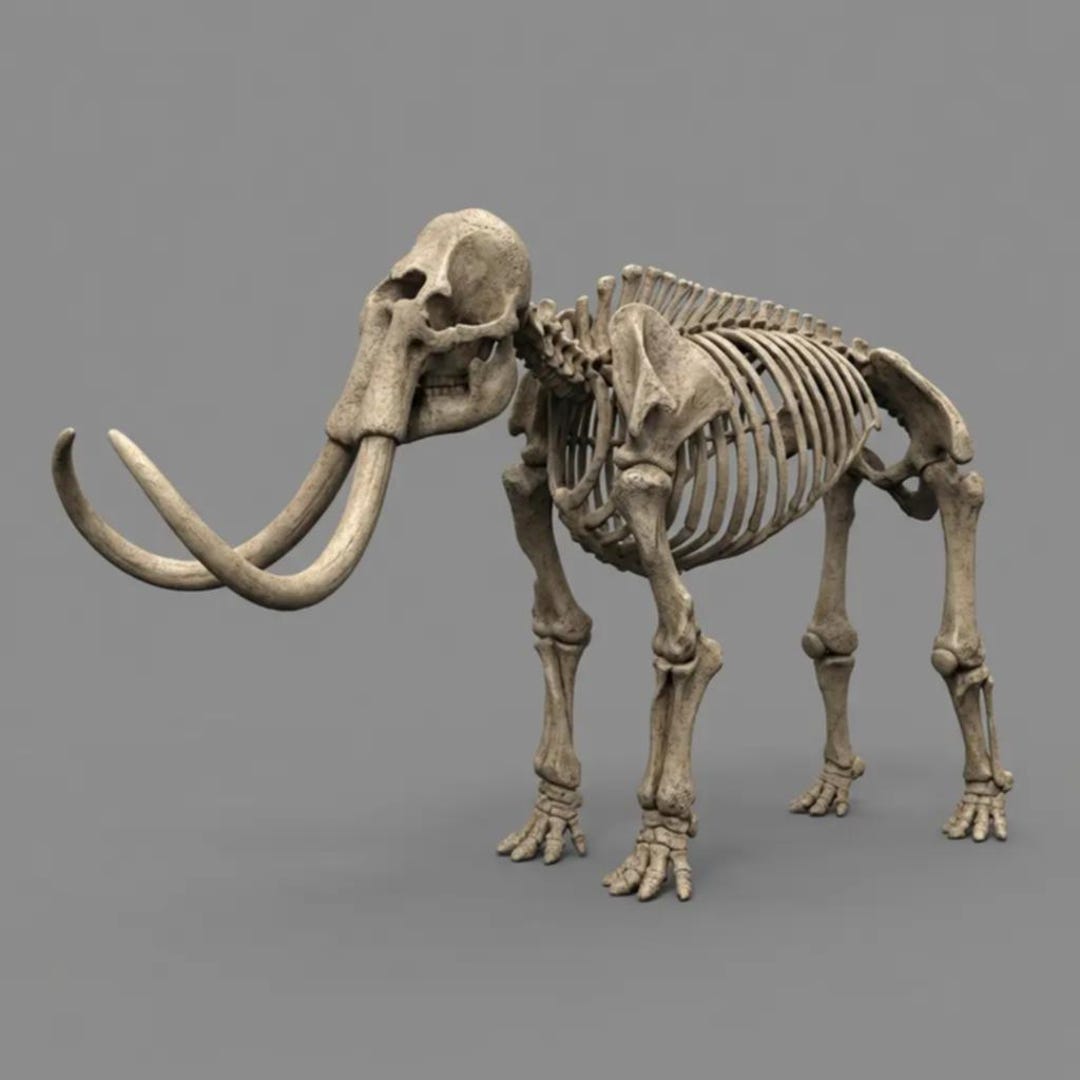 Mammoth Skeleton With Tusks Ready File for 3D Printer STL - Etsy