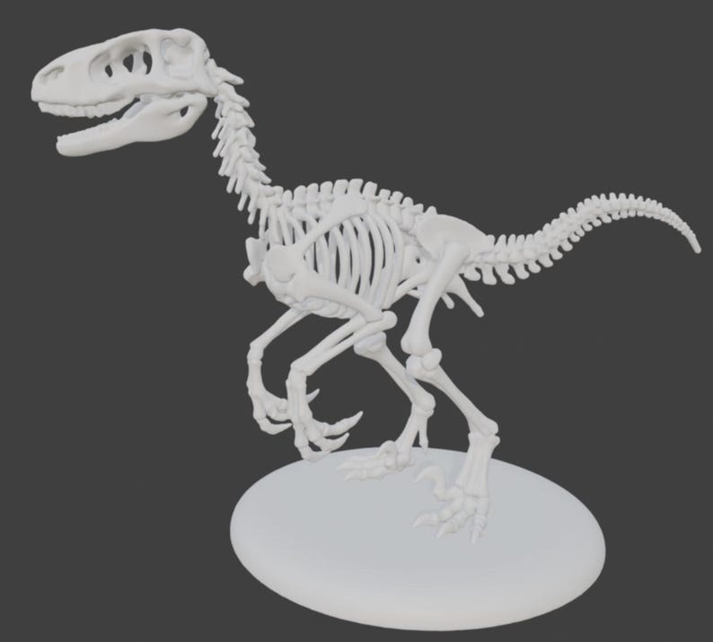 Skeleton Raptor Dinosaur File for 3d Printer STL Figurine Sculpture - Etsy