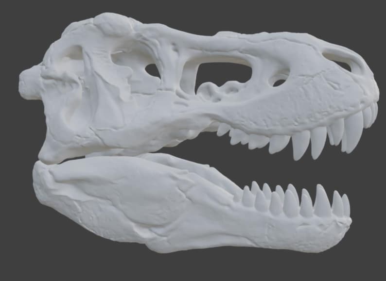 T-rex Skull Tyrannosaurus Dinosaur Ready Stl File for 3d Printing ...