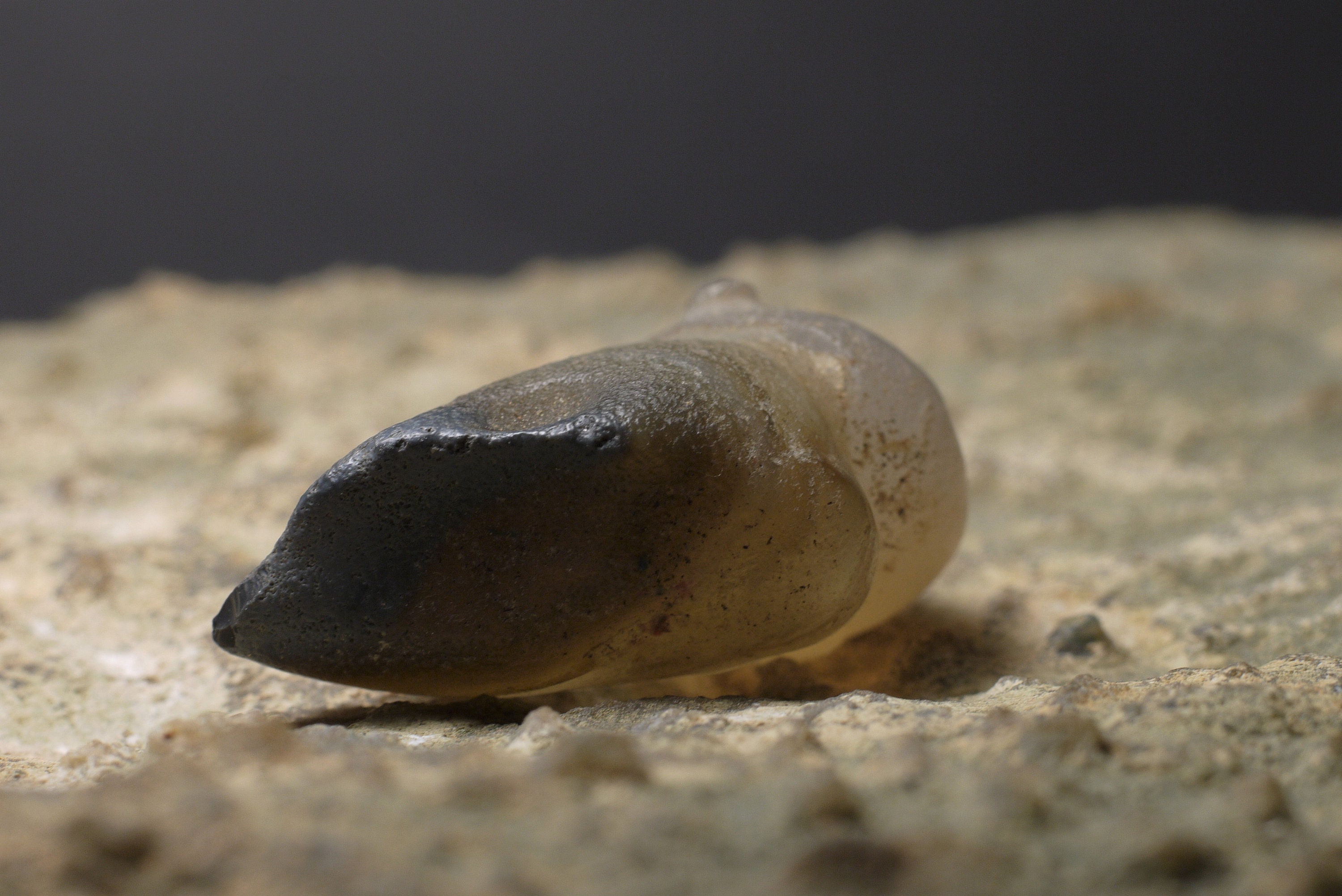 Gaja Mani Rarest Elephant Bezoar Stone Mustika Pearl, Royalty Wisdom ...