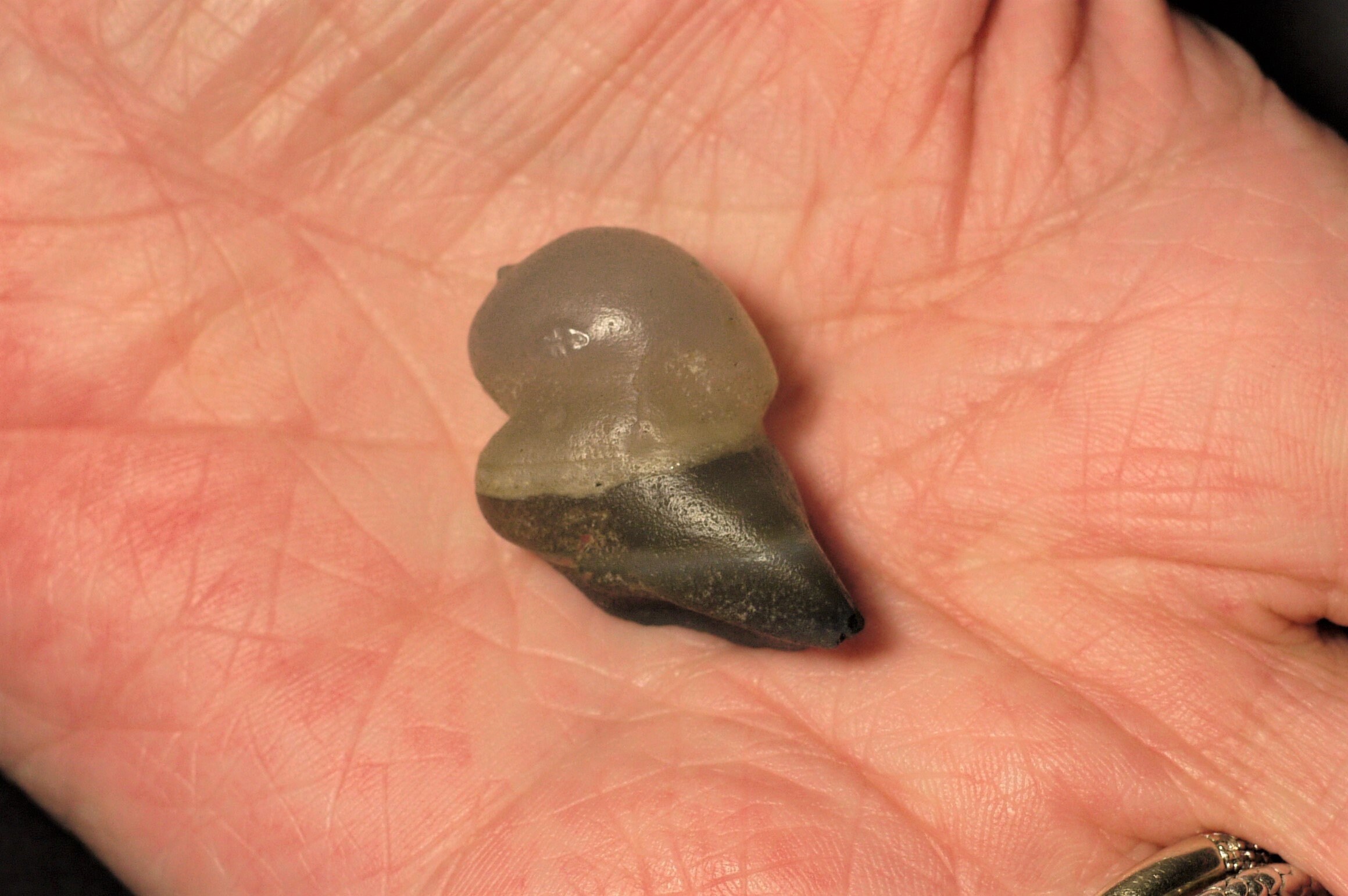 Gaja Mani Rarest Elephant Bezoar Stone Mustika Pearl, Royalty Wisdom ...