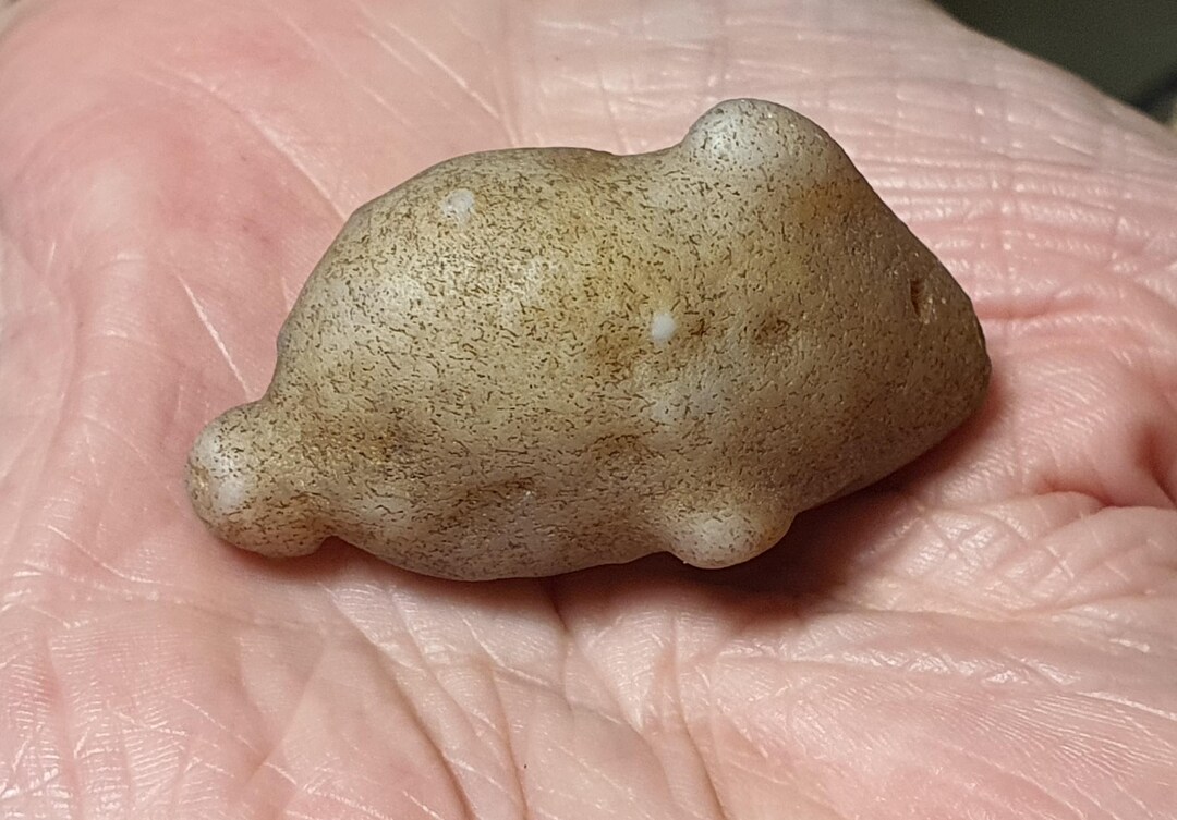 Orca Bezoar Stone Mustika Pearl, Collectible, Ultra Rare, Healing ...