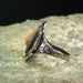 Wild Conch Blister Pearl Antique Sterling Ring 1890s Art - Etsy