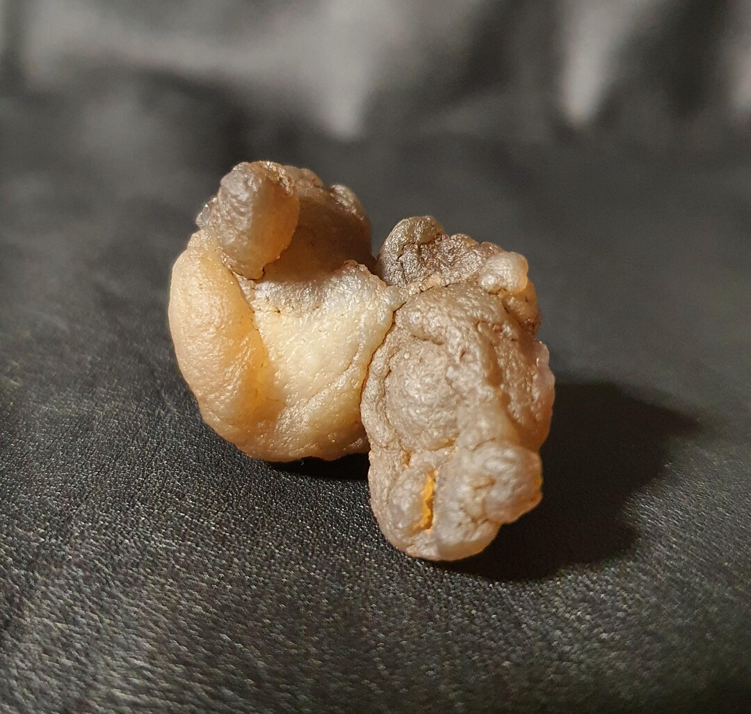 Earth Dragon Mustika Pearl Bezoar Stone, 67 Carat, Grow Your Life and ...