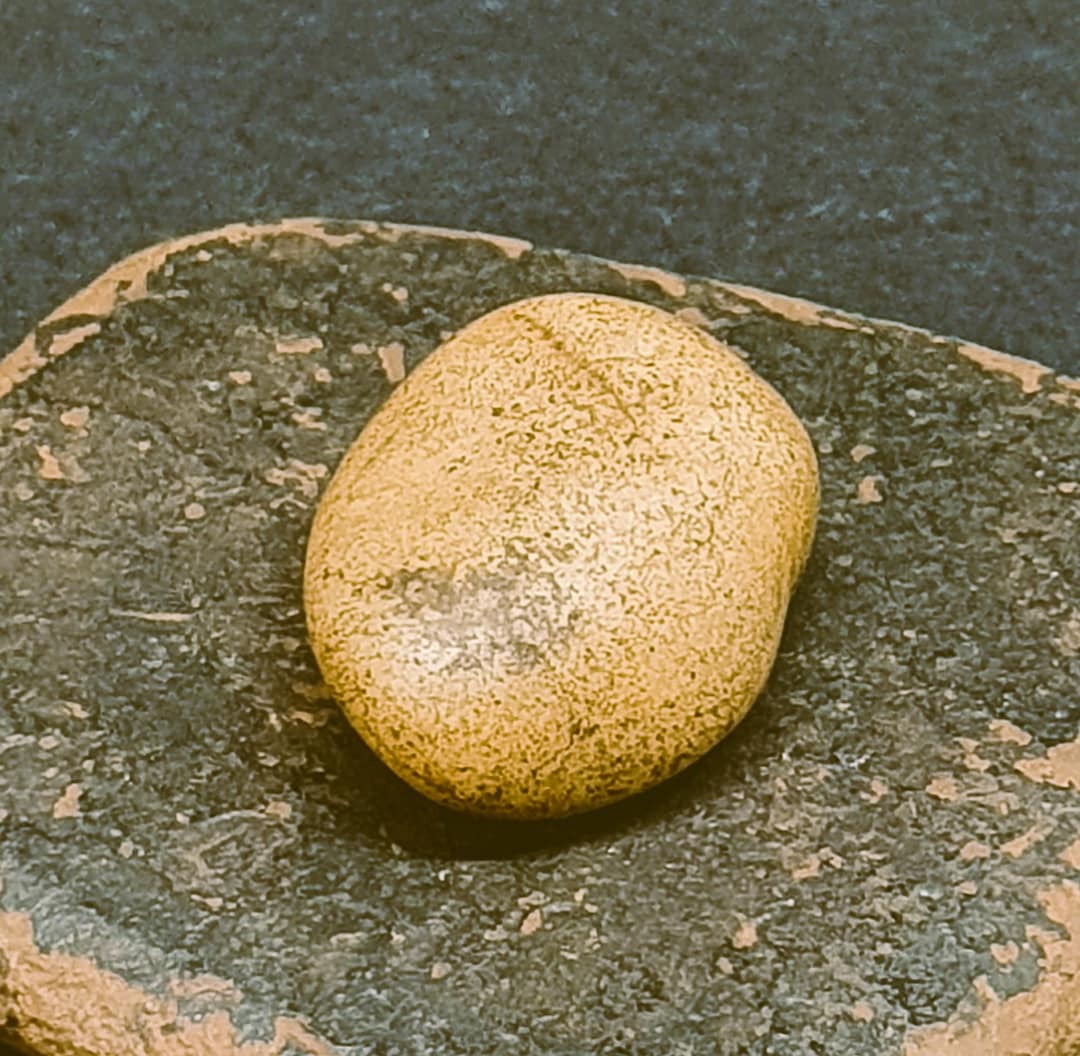 Crocodile Bezoar Stone Mustika Pearl Powerful Talisman, Luck Intuition ...