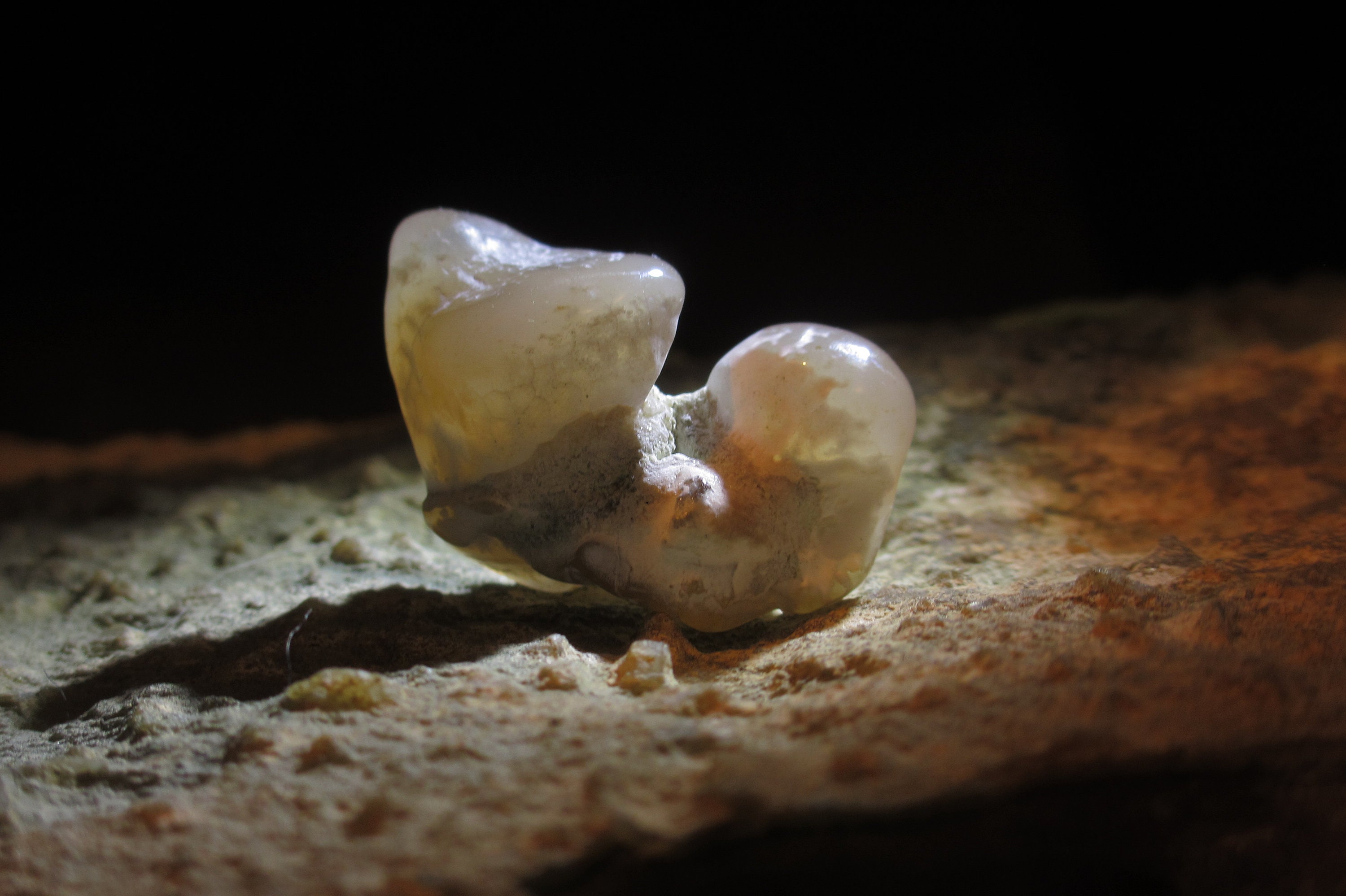 Bezoar Stone for sale | Only 3 left at -70%