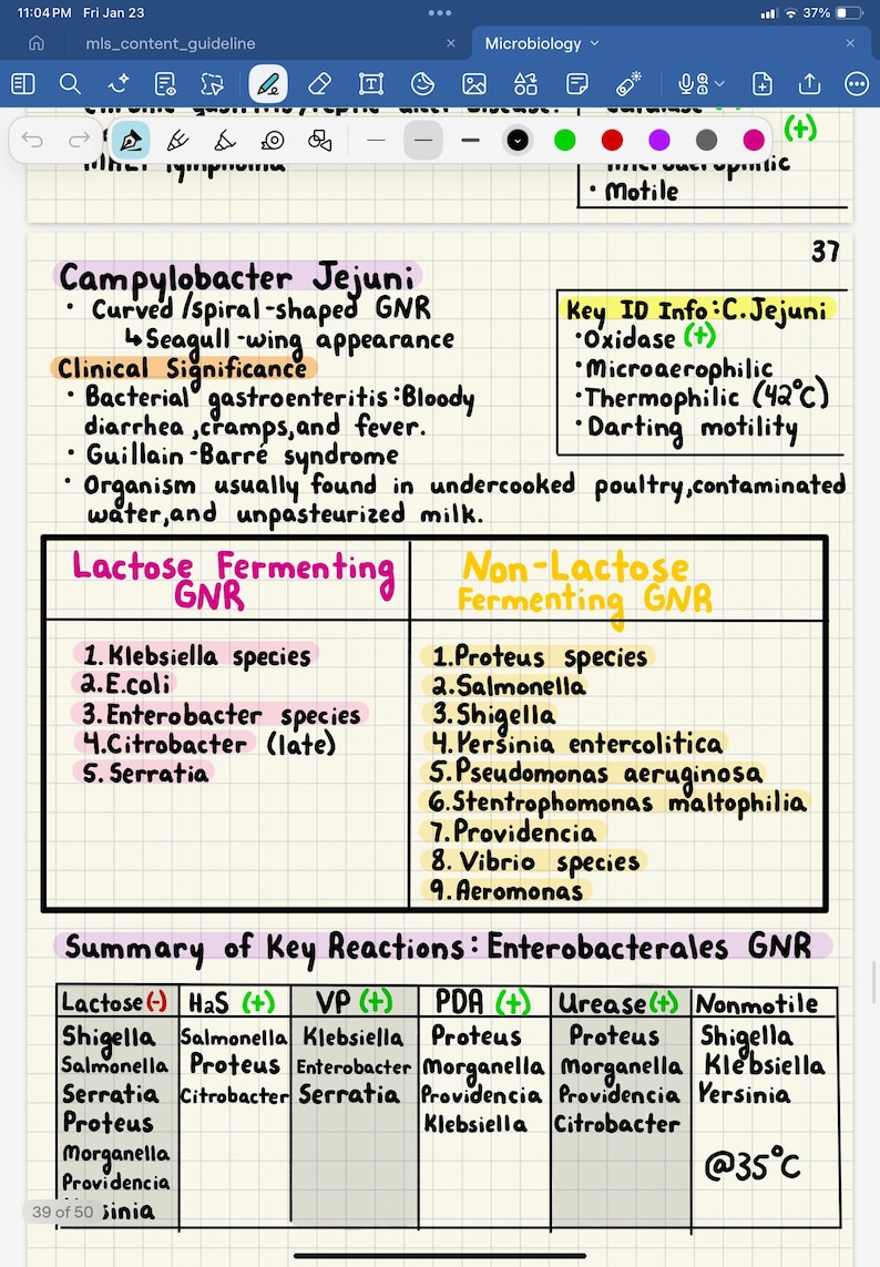 MICROBIOLOGY ASCP Notes | 50 Page Handwritten MLS Study Guide | High ...