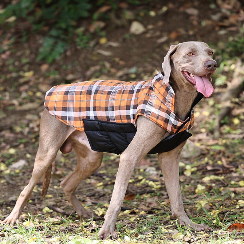 Classic Plaid Reversible Dog Jacket – Warm Winter Coat, Water-repellent ...