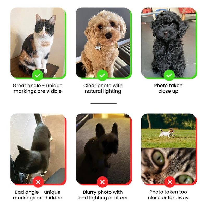 Personalized Oncology Unit Silliest Goose Badge Reel - Funny Cancer ...