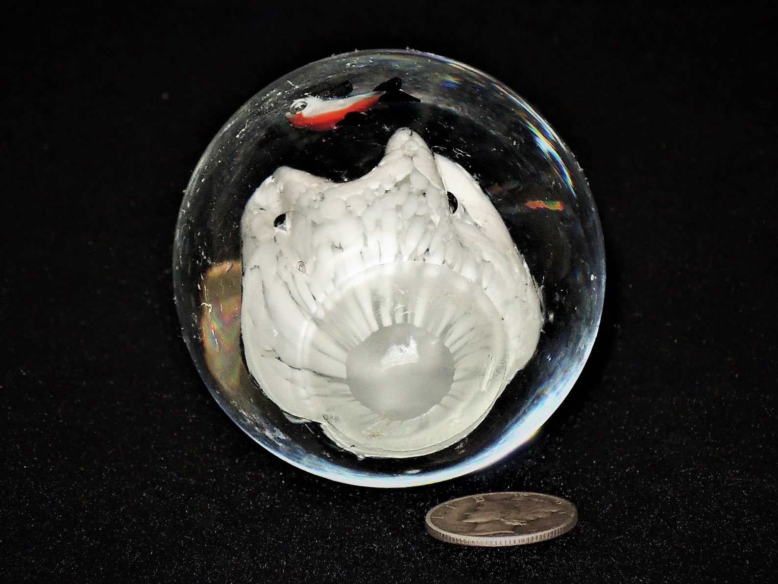 Vintage Glass Paperweight Ocean Waves With Fish | Etsy