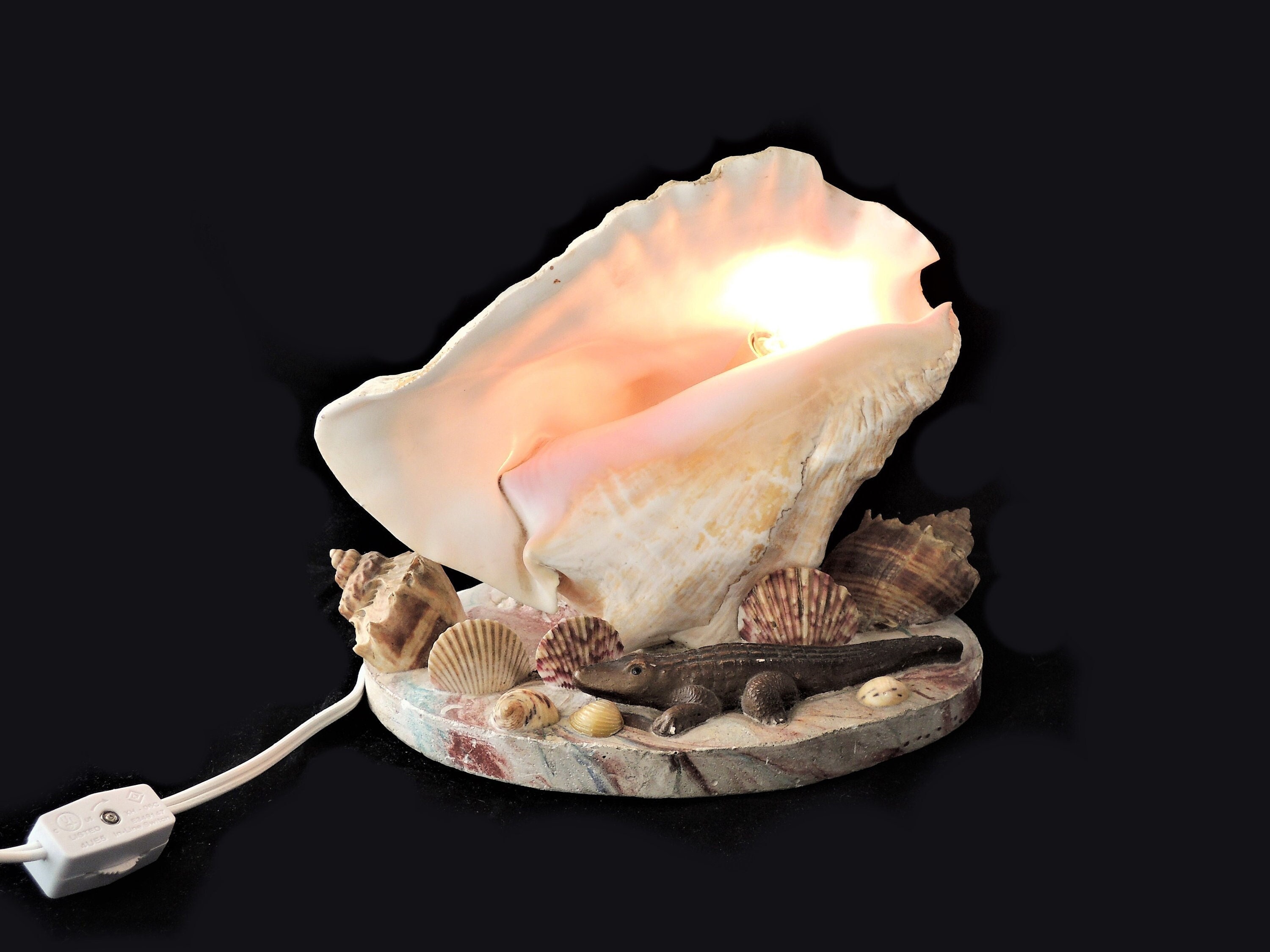 Working TV Lamp Vintage Mid Century Souvenir Conch Shell Lighting Night ...