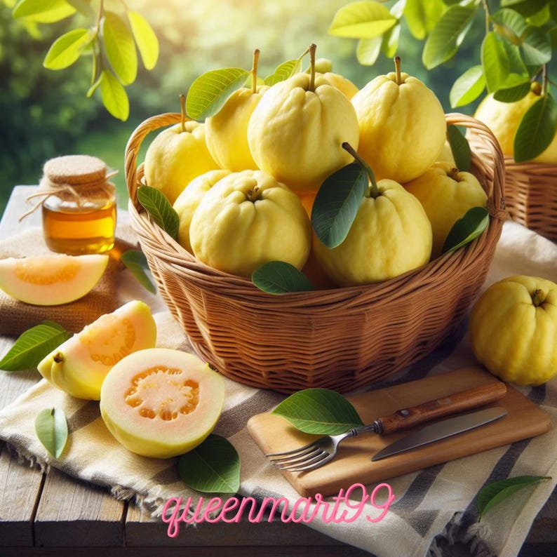 20 Sweet Guava Seeds | Psidium Guajava | Tropical Fruit Tree Seeds ...