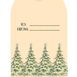 Simple and Sleek Greenery Christmas Gift Tags - Etsy