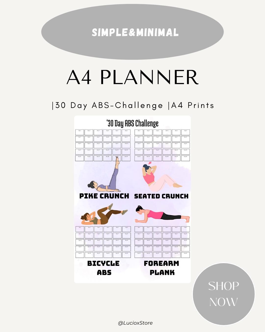 30-day Abs Challenge Printable PDF | Tickable A4 Calendar for Home Core ...