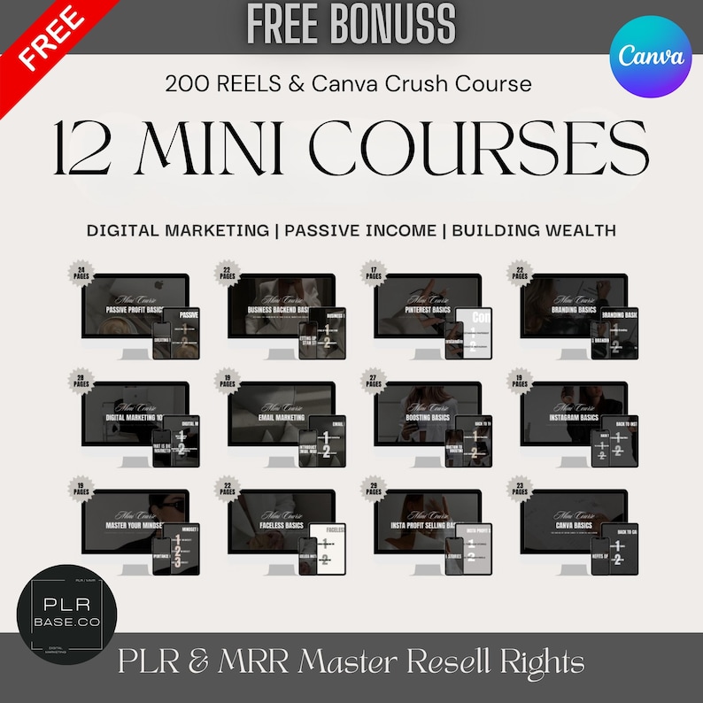Digital Business Starter Pack 12 Mini Courses With PLR & MRR Bundle ...