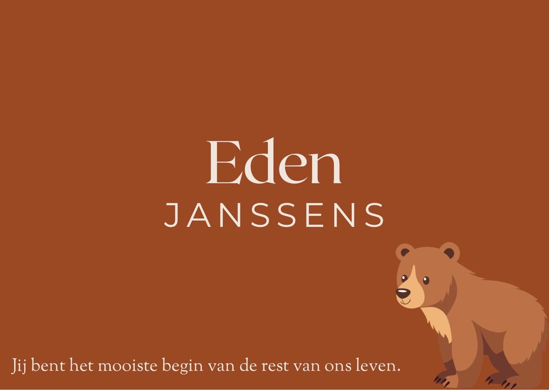 Teddy Bear Birth Announcement • Rust Brown Baby Card • Minimalist Teddy ...