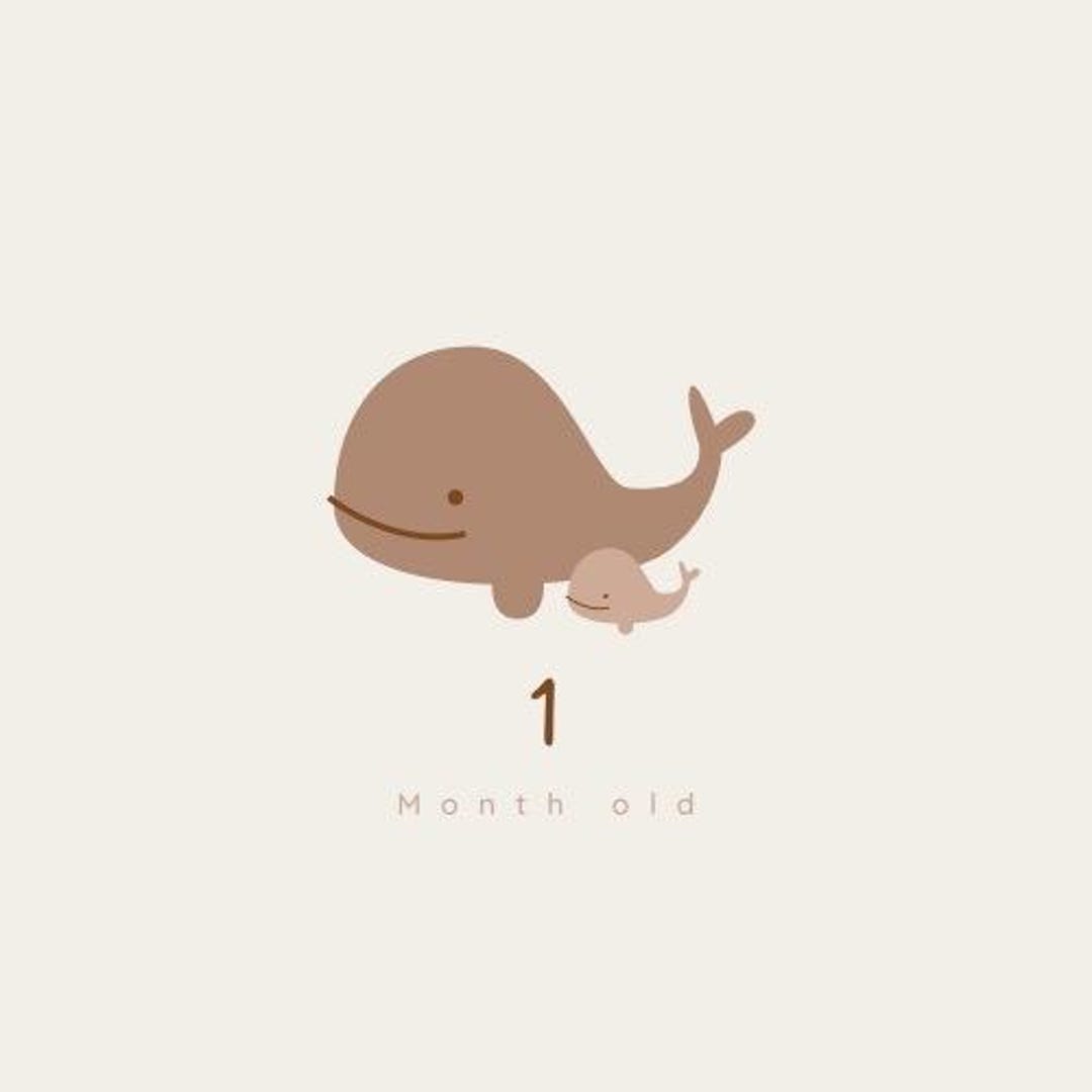 Baby Mijlpaalkaarten Walvis • Neutrale Milestone Cards • 1–12 Maanden ...